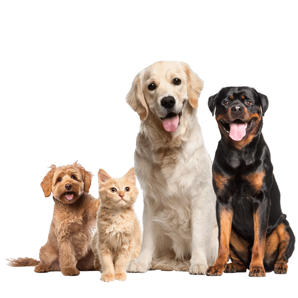 Vetpharma - No.1 Pet Care & Veterinary Medicines in Sri Lanka – Dog & Cat